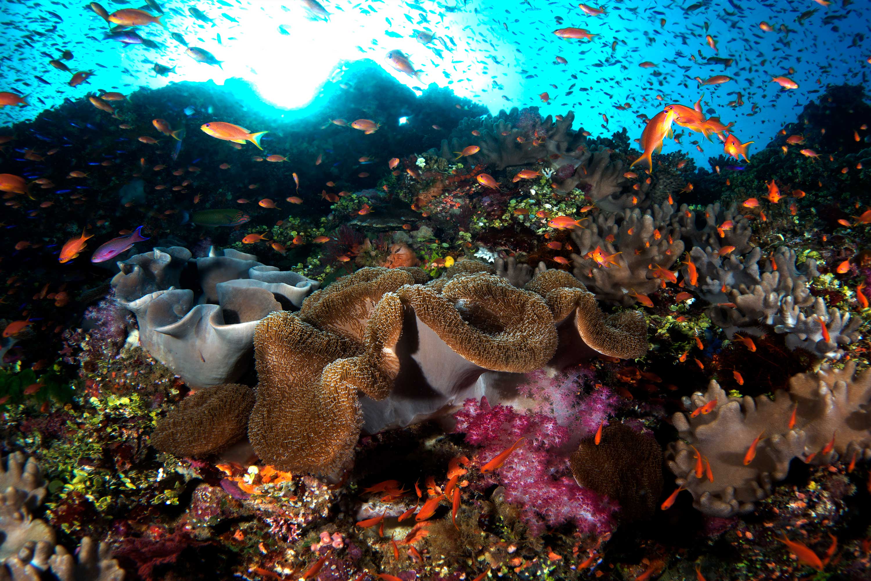 Rakiraki - Travel&Co (New Zealand)