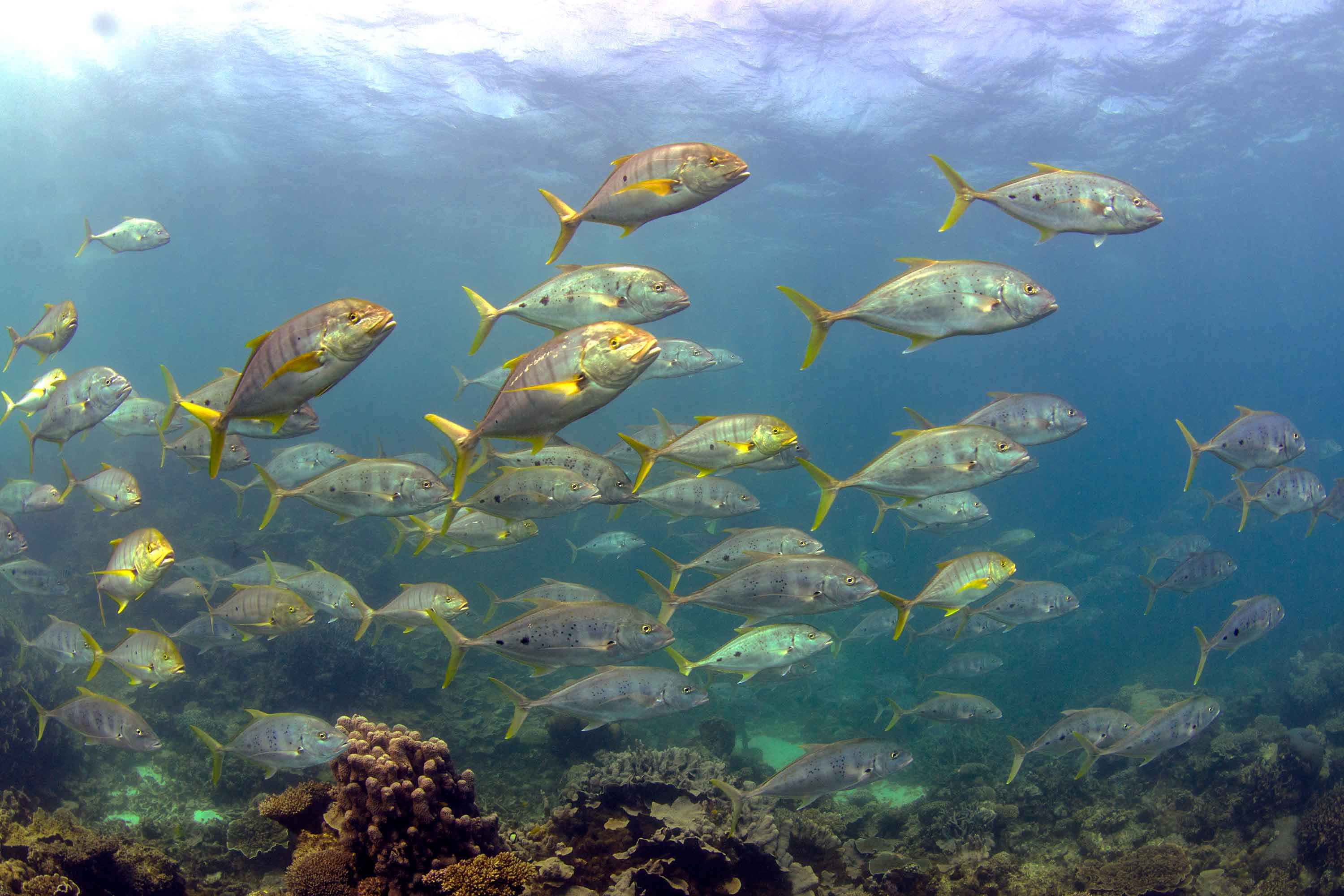 Exmouth - Travel&Co (New Zealand)