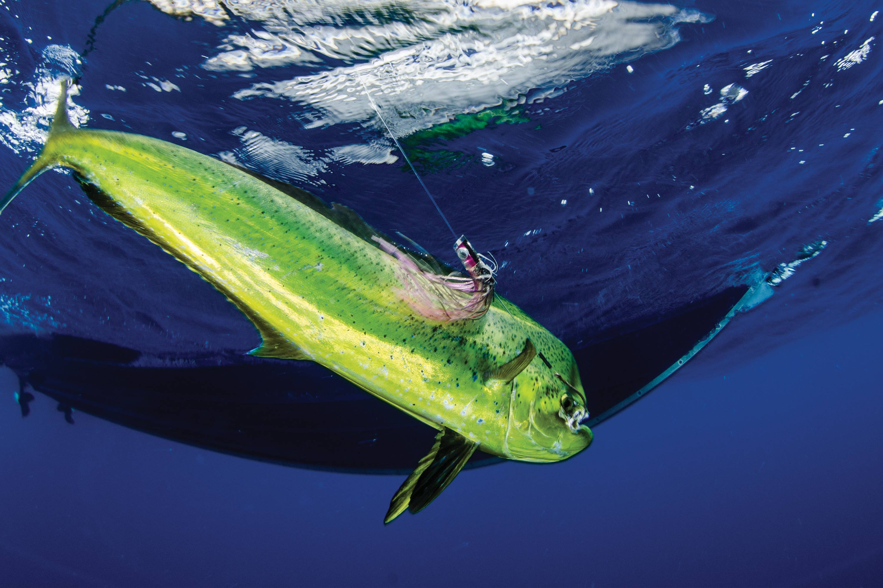 Seychelles - Travel&Co (New Zealand)